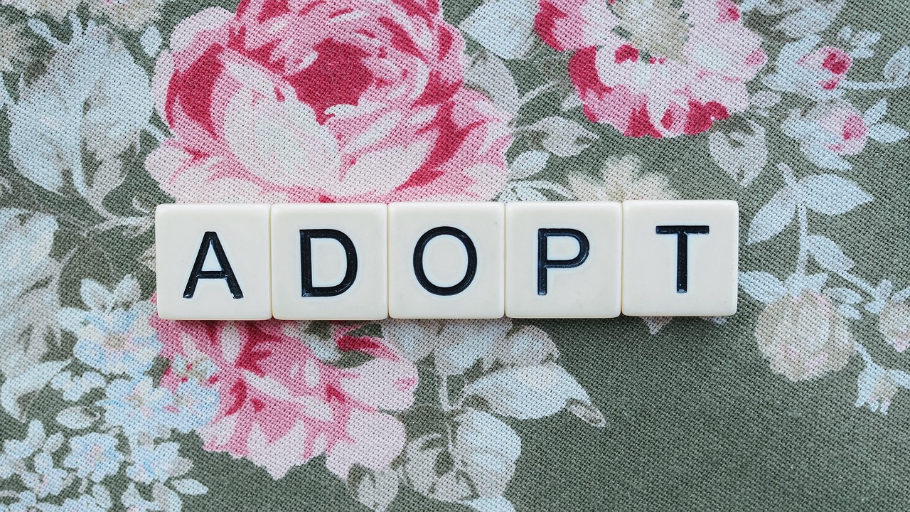 MDHHS honors Michigan Adoption Day by celebrating newly adoptive families
