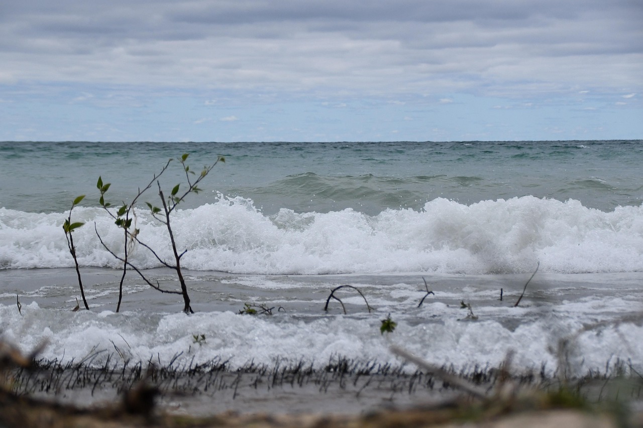DNR announces support for park upgrades in 11 counties in Michigan