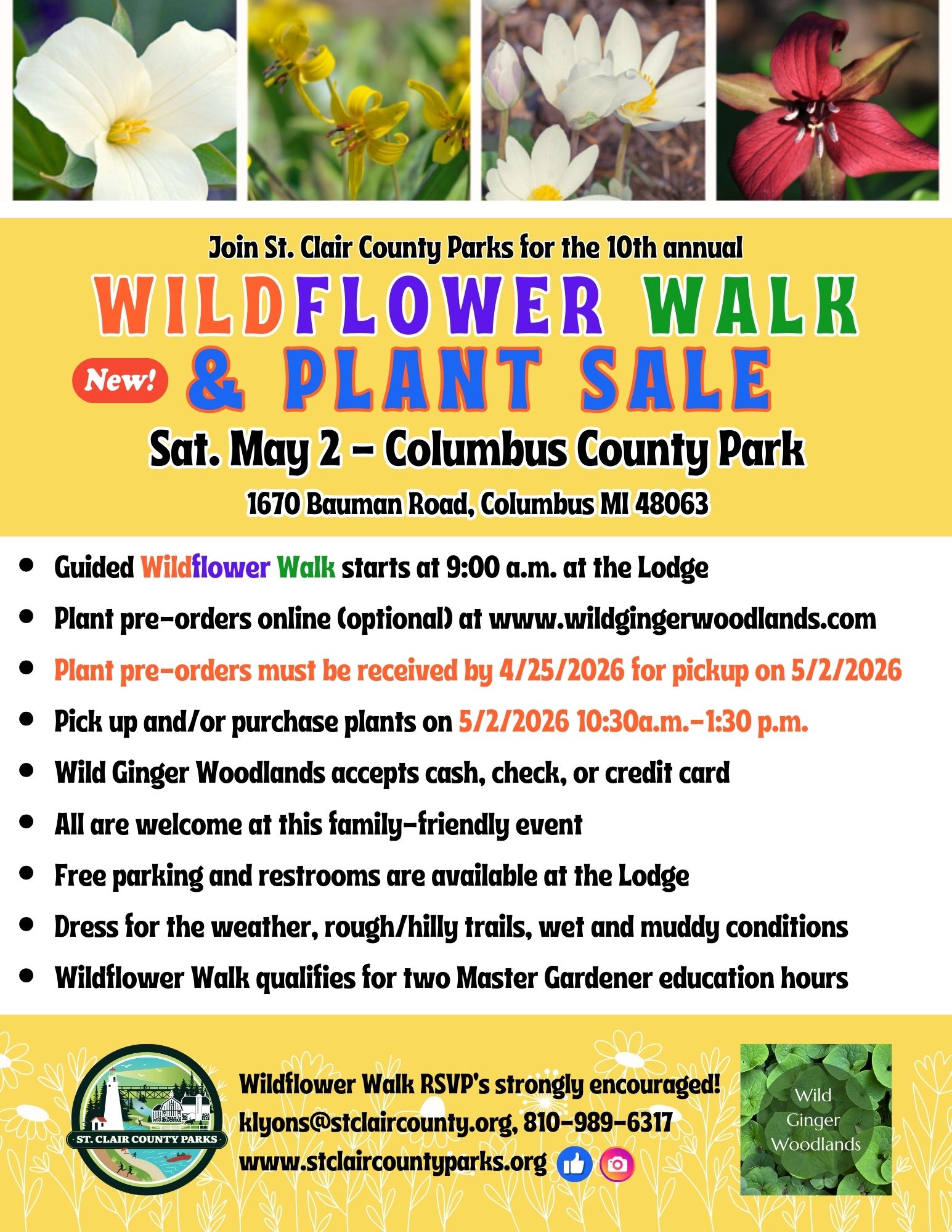 Admire Spring Wildflowers in Bloom!