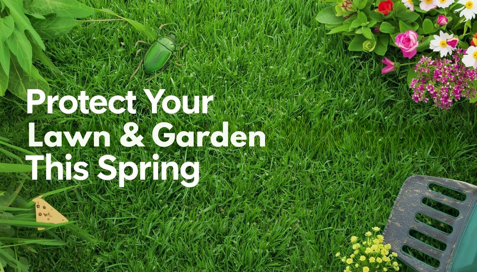 MDARD shares tips to protect your lawn, garden from invasive pests this ...