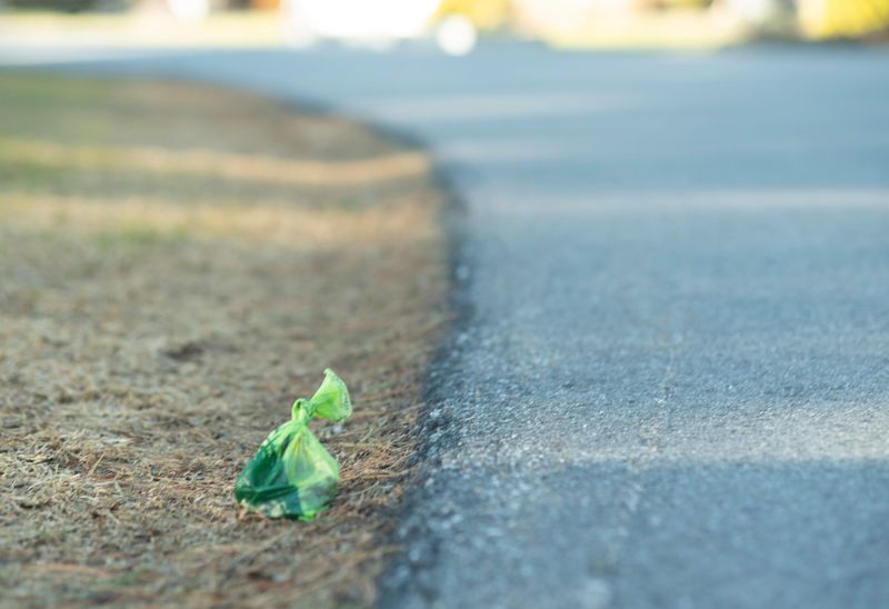 Can I sue my neighbor for letting their dog poo on my lawn?