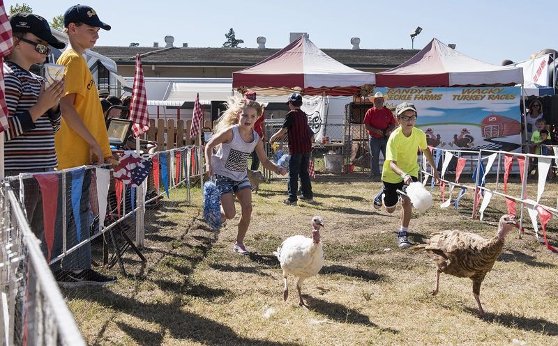 ‘Life in the Fast Lane’: Lodi Grape Festival kicks off Thursday in Lodi ...