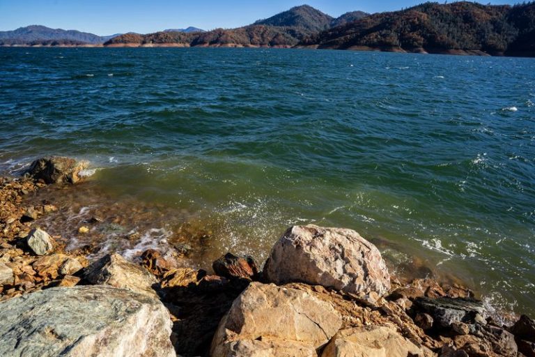 Palo Cedro man dies after boat crash at Lake Shasta
