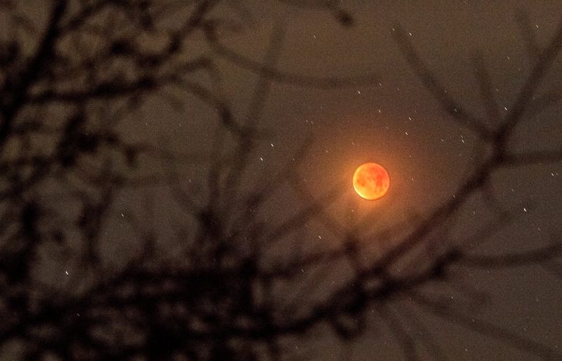 Is there a full moon tonight? Why Californians won't see the blood moon ...