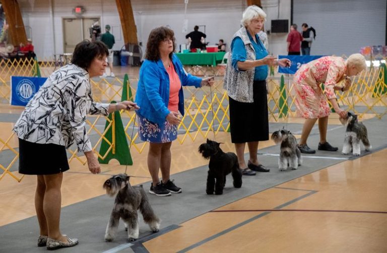 San Joaquin Kennel Club returns with 144th annual dog show on Thursday