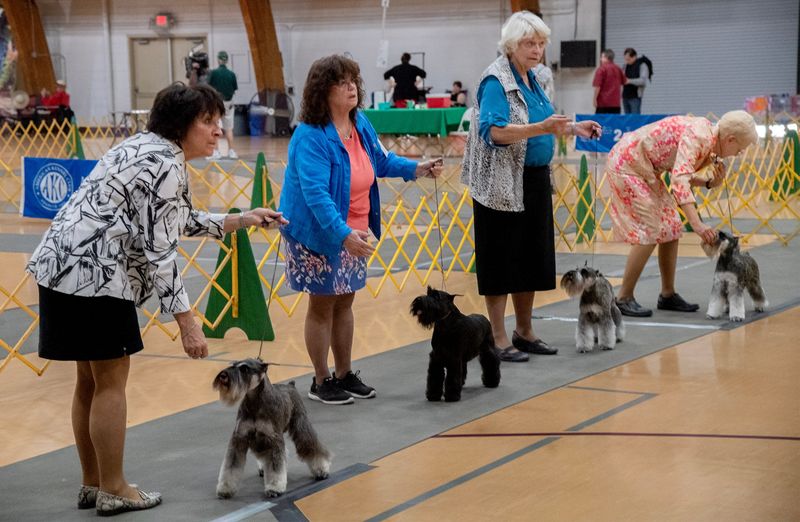 San Joaquin Kennel Club returns with 144th annual dog show on Thursday