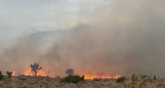 Firefighters douse brush fire sparked by lightning strike in Phelan
