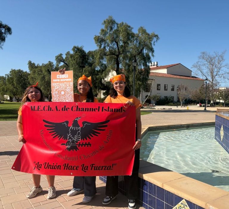 Nationwide anti-ICE protest arrives in Ventura County