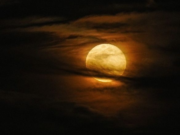 Did you catch the ’Snow Moon’? See our photos for a different view