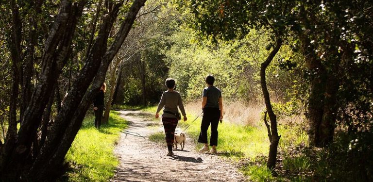 9 small California towns worth a road trip, according to World Atlas
