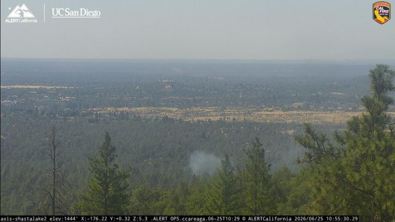Vegetation fire was illegal burn pile west of Redding