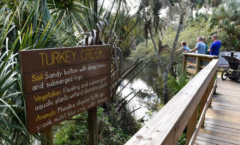 Police: Man who grabbed, took photos of woman at Turkey Creek charged ...