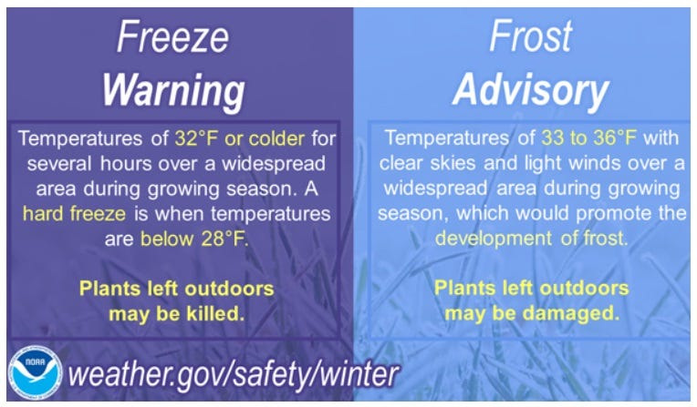Florida freeze warnings ahead? See cold front forecast