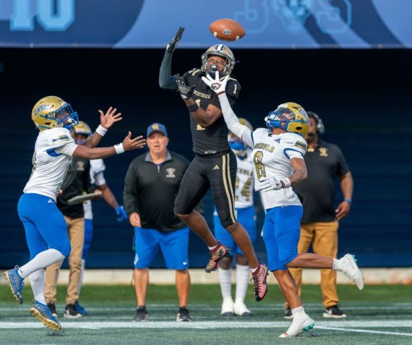 Vote! Cast your vote on Palm Beach County's top wide receiver ahead of ...