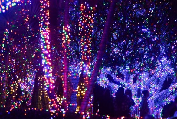 Jensen Beach mansion cancels its annual Christmas lights display