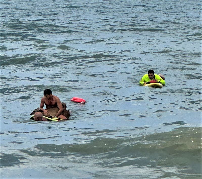 See viral video of Flagler Beach, Florida deer rescue. Can deer swim?