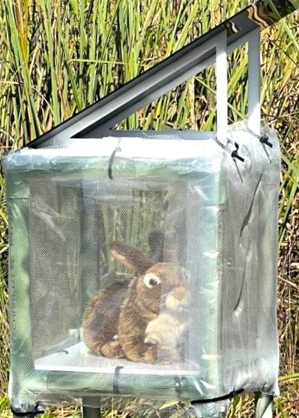 UF researchers deploy robotic rabbits across South Florida to fight ...