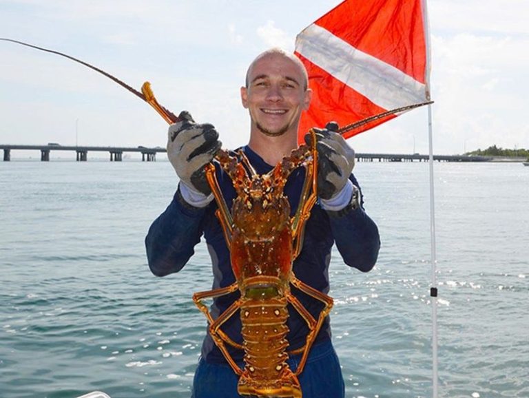 Florida’s spiny lobster season is almost here. What’s the difference ...