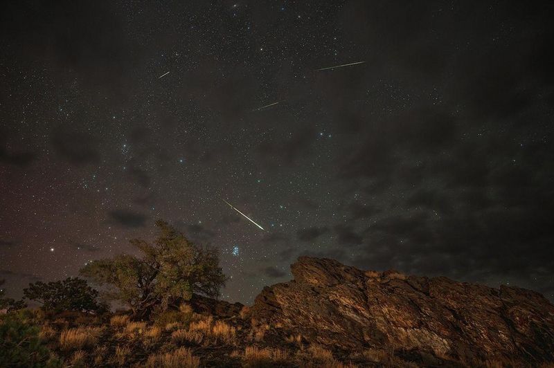 Here’s when Florida can see the ‘best’ meteor shower of the year and ...