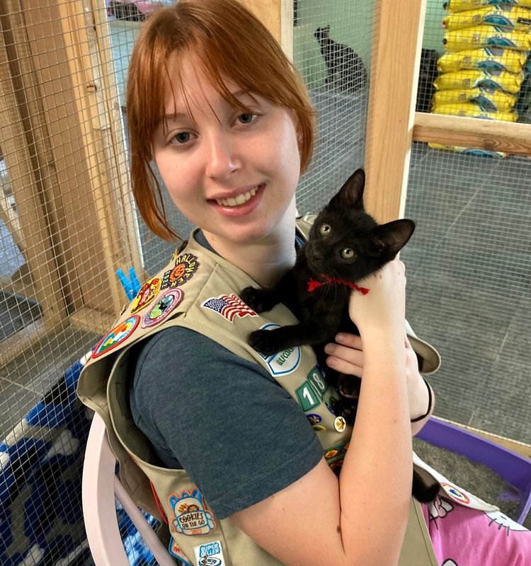 Englewood teen earns Girl Scout Gold Award by saving lives – one kitten ...
