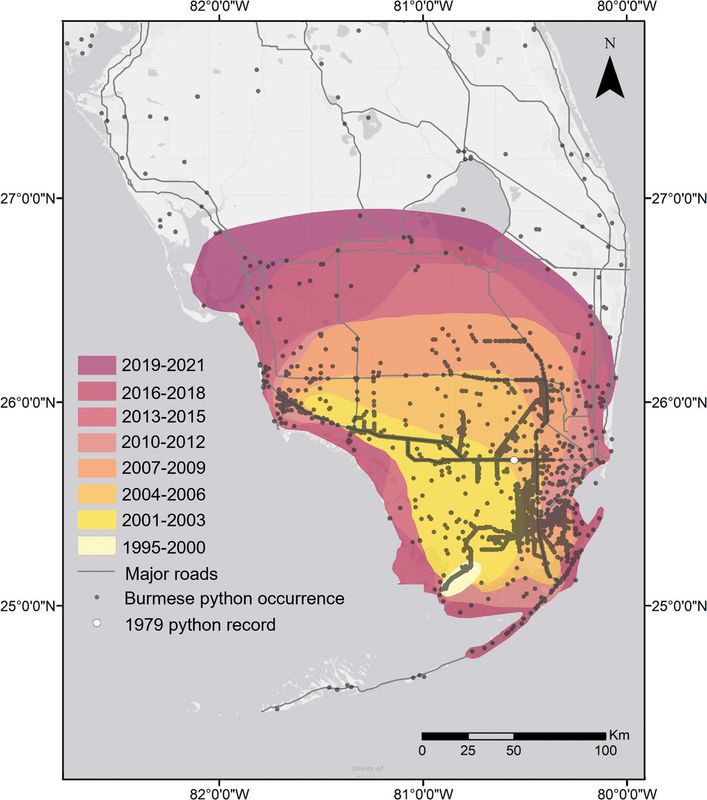 Are pythons slithering out of the Everglades and into Florida homes? See videos