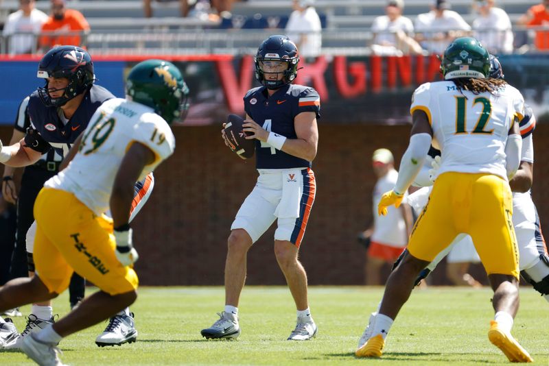 FSU football's Mike Norvell has been watching Virginia QB Chandler ...