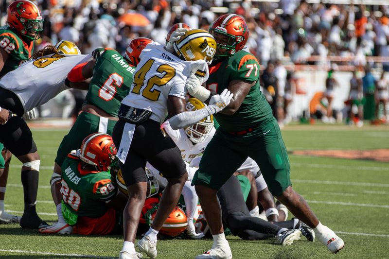 FAMU football's RJ Johnson, Kenari Wilcher shine in Week 12 SWAC win at ...