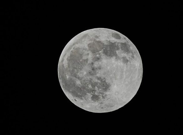 May's full moon is peaking soon. What to know about the Flower Moon