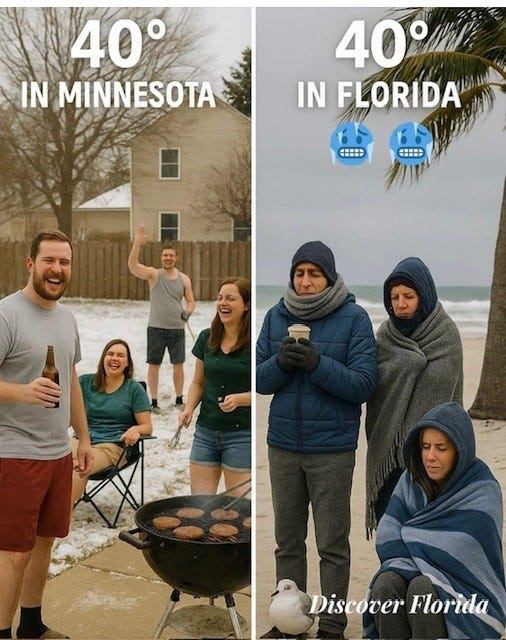 Baby, it's cold outside. Hilarious social media memes make fun of ...