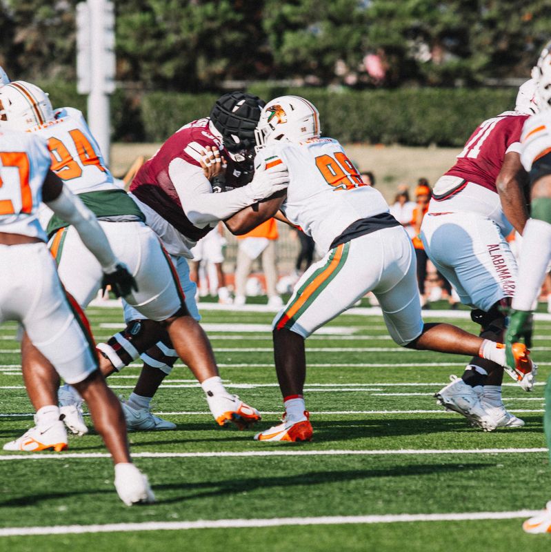 FAMU football's RJ Johnson, Kenari Wilcher shine in Week 12 SWAC win at ...