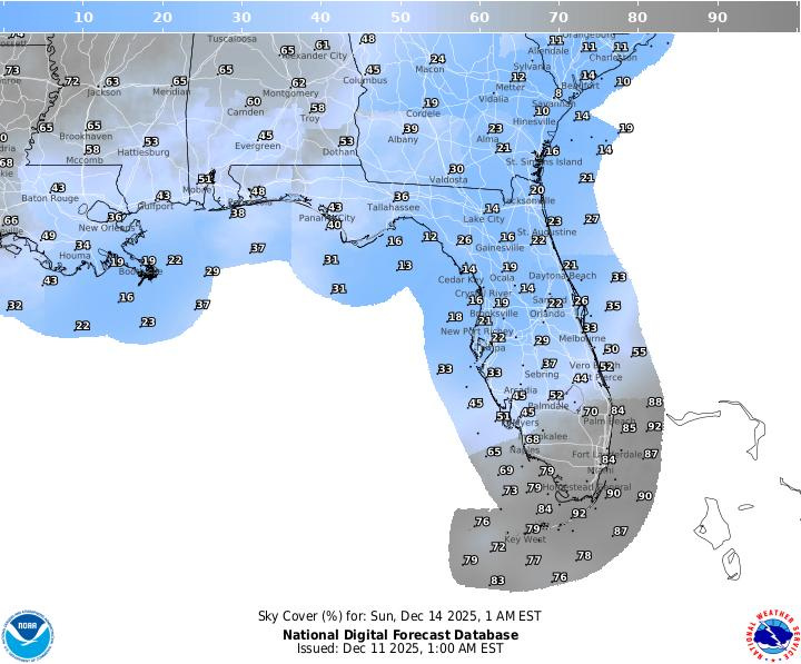 Geminids approach peak 2025 activity. Where to see meteor shower in Florida