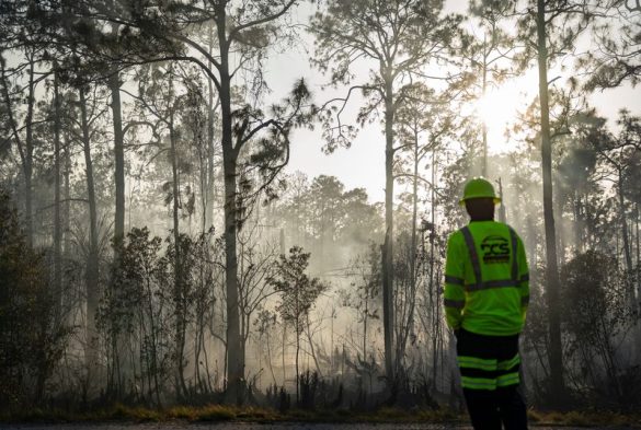 Commissioners adopt burn ban in Collier as drought continues in Naples