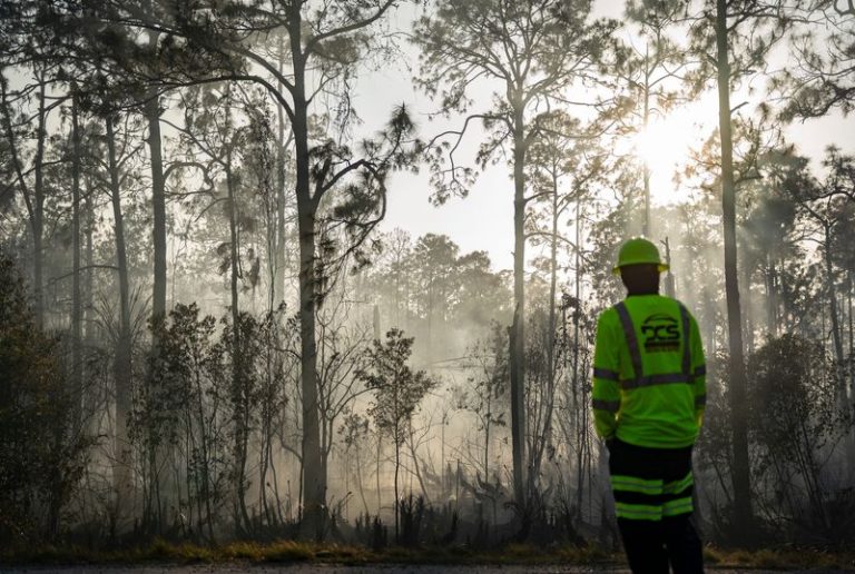 Commissioners adopt burn ban in Collier as drought continues in Naples