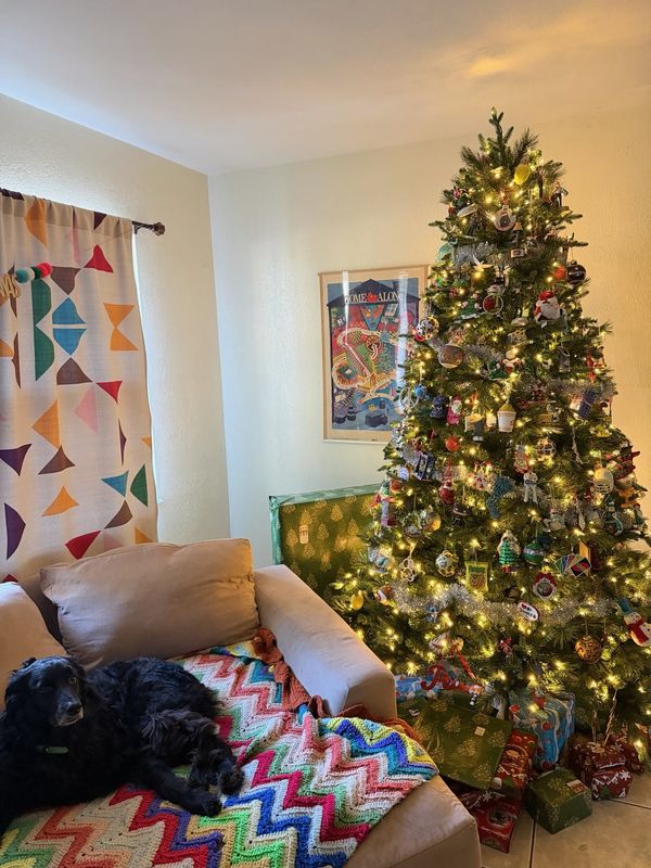 Stringer’s The Night Before Christmas ... Emerald Coast edition