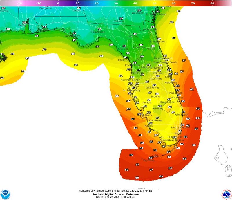 Florida to see freezing temps before New Year's Eve. How low will it go?