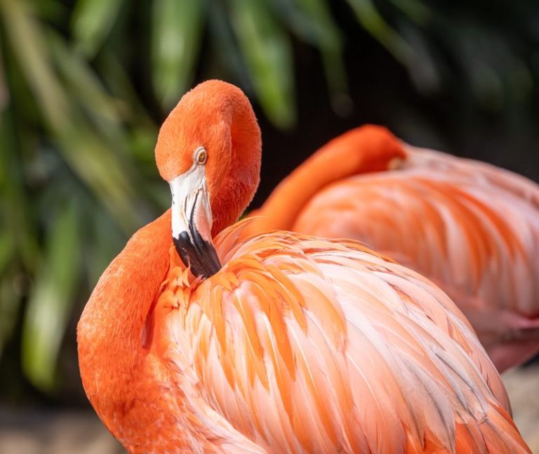 Best SW Florida reader photos include Cape Coral, Fort Myers, Key West