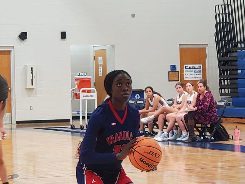 Big Bend girls basketball: Wakulla leads midseason power rankings