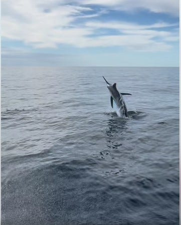 16 Florida record fish caught off Treasure Coast over 53 years