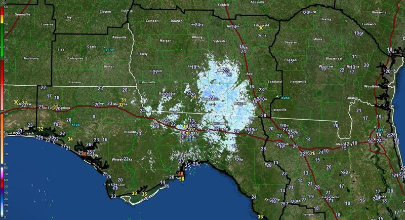 Photos and video proof snow fell in Tallahassee, Florida in 2026