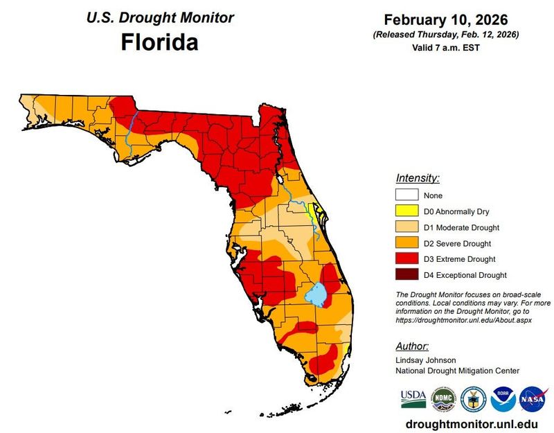 Inches of weekend rain may bring slight relief to Leon extreme drought