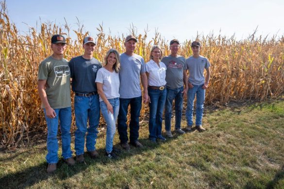 'Field of Dreams' TV show didn't materialize. Owners of the diamond ...
