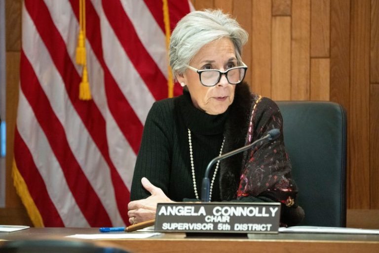Angela Connolly, a Polk supervisor since 1998, announces she won't seek ...