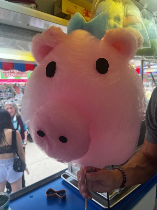 From Minions to cocktails, cotton candy steals the show at the Iowa ...