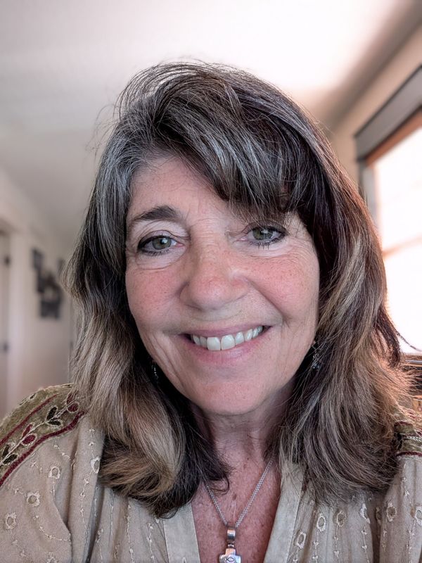 Independent challenger ousts appointed Republican auditor in Madison ...