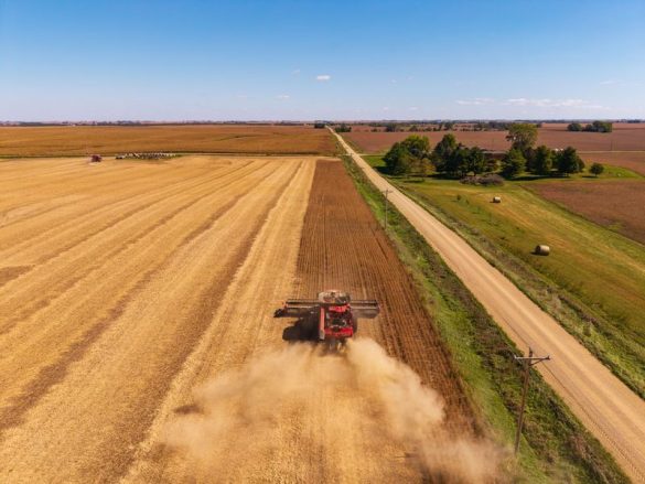 Iowa's biodiesel industry loses $89.5M in 2025; three plants close