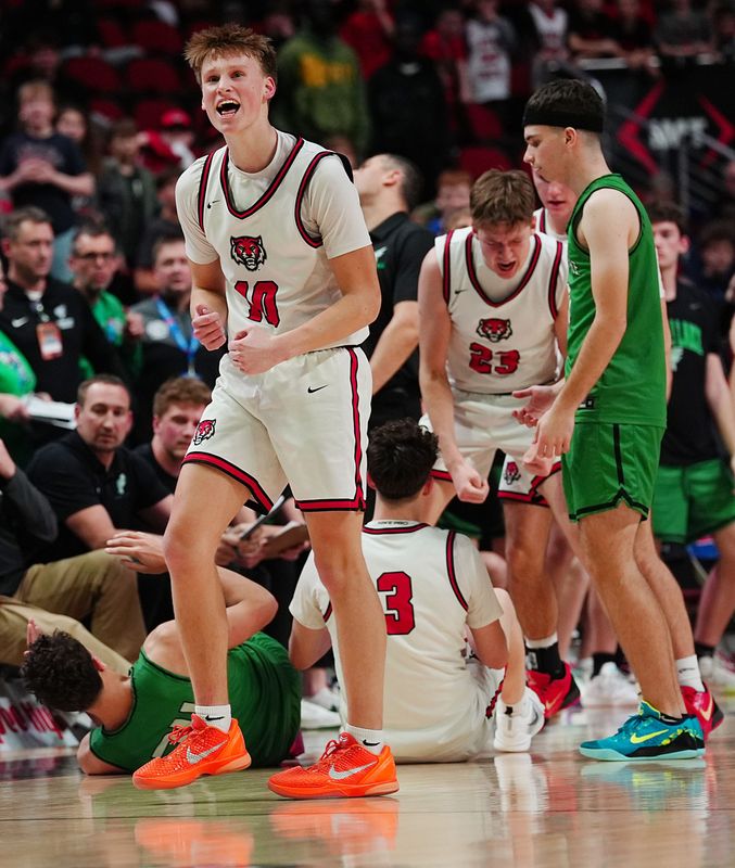 ADM basketball outlasts Storm Lake for first state championship berth
