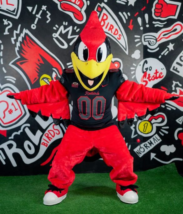 Illinois State mascot Reggie Redbird is getting a makeover. See the new ...