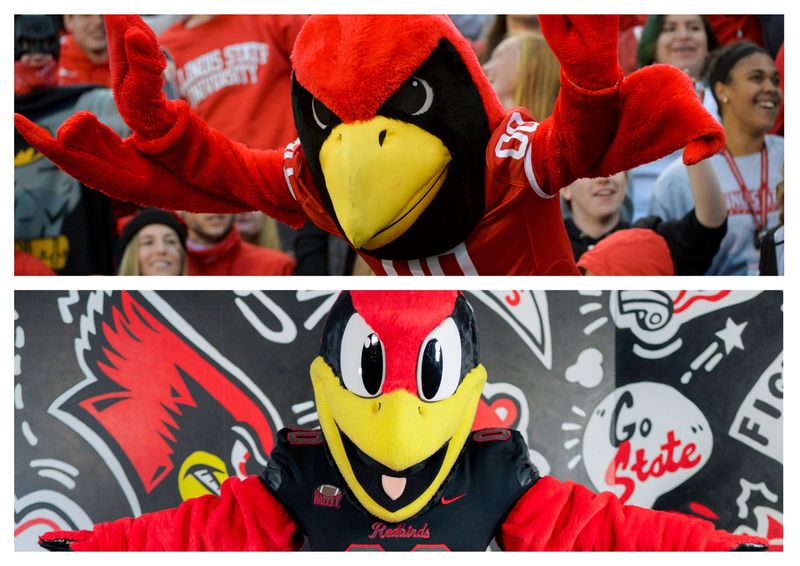 Illinois State mascot Reggie Redbird is getting a makeover. See the new ...