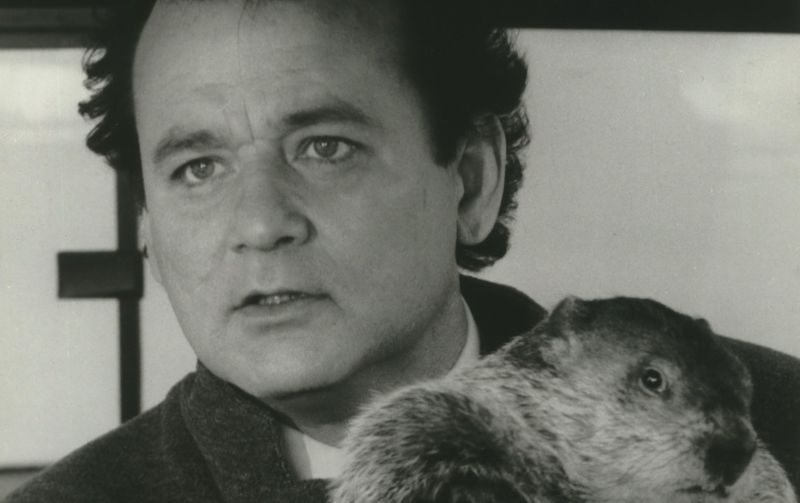 Groundhog Day is almost here. How to watch the classic movie
