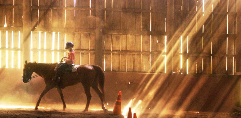 8 best places to go horseback riding in Indiana before the cold weather ...